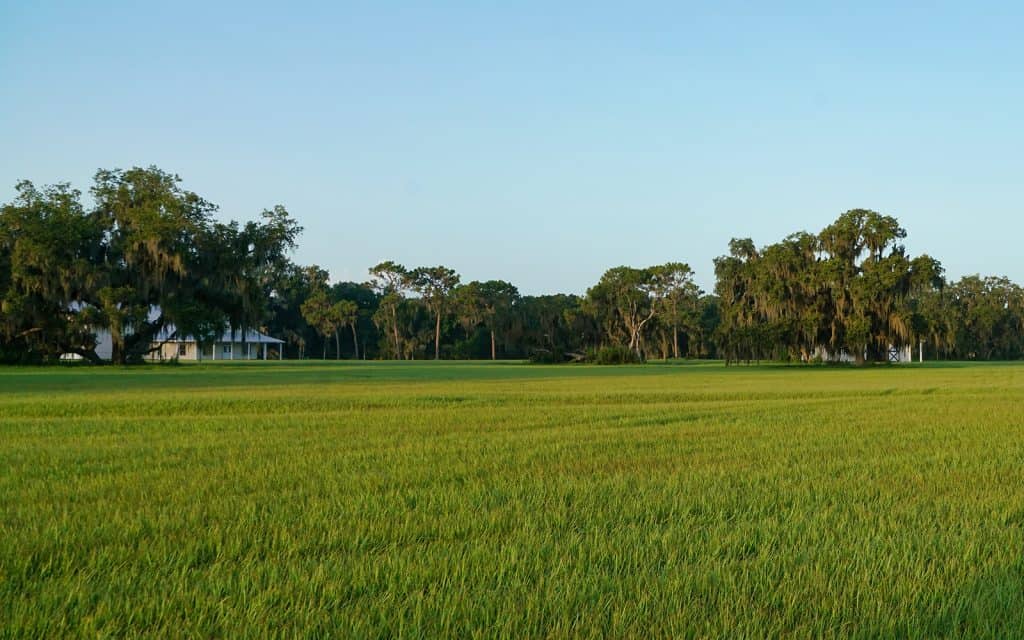 Sarasota Luxury Home at Gaddy Up Ranch